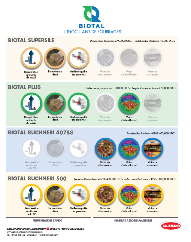 En résumé, les avantages de traiter au Biotal sont nombreux